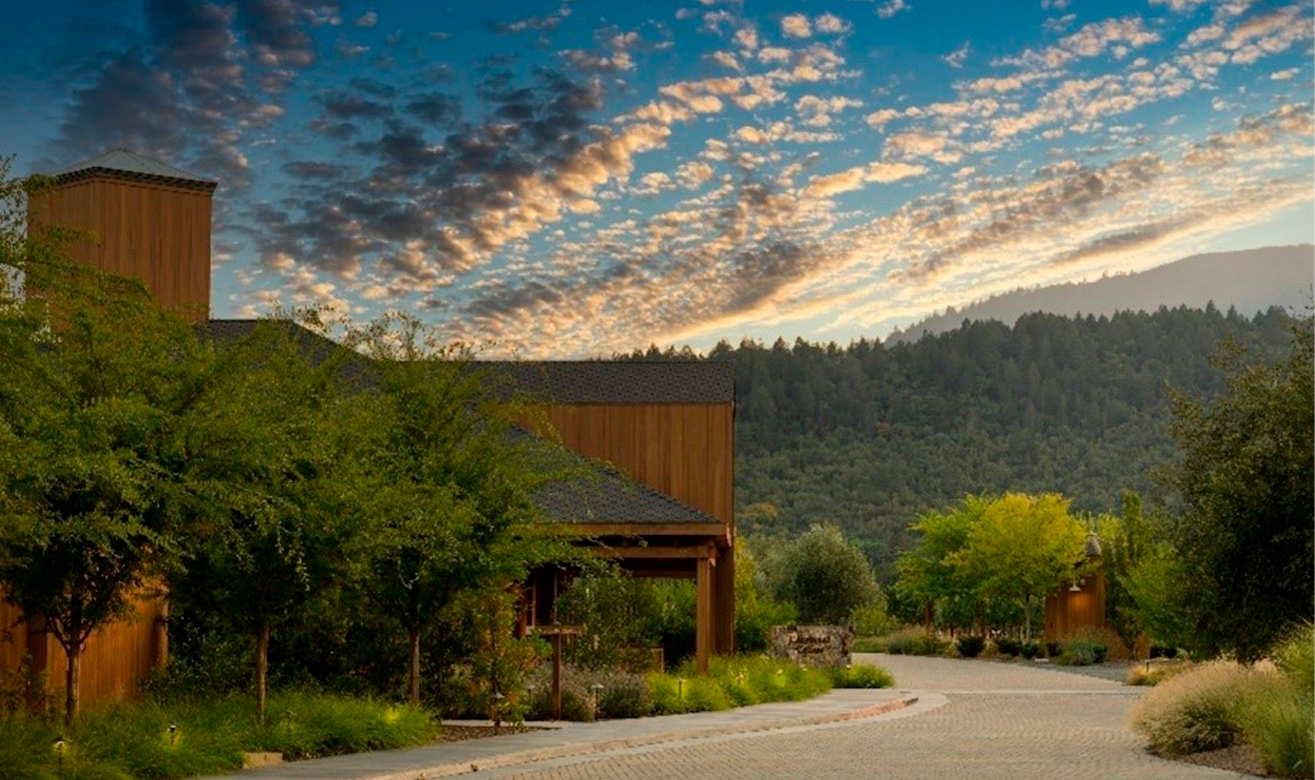 Cakebread Winery | Vivino