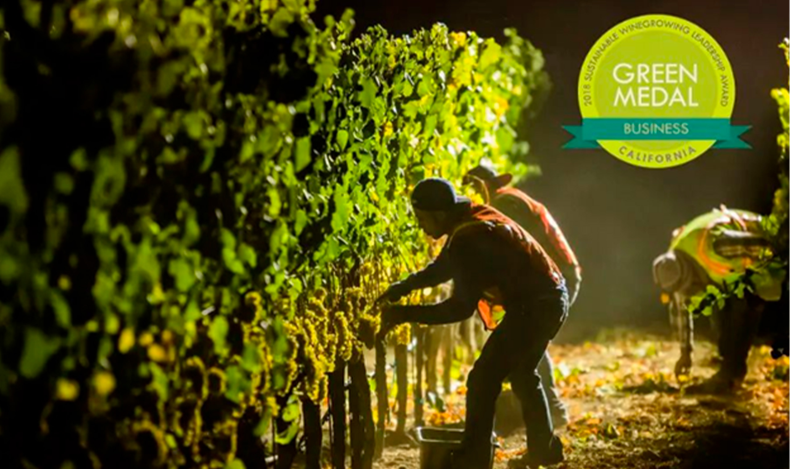 Cakebread Winery | Vivino